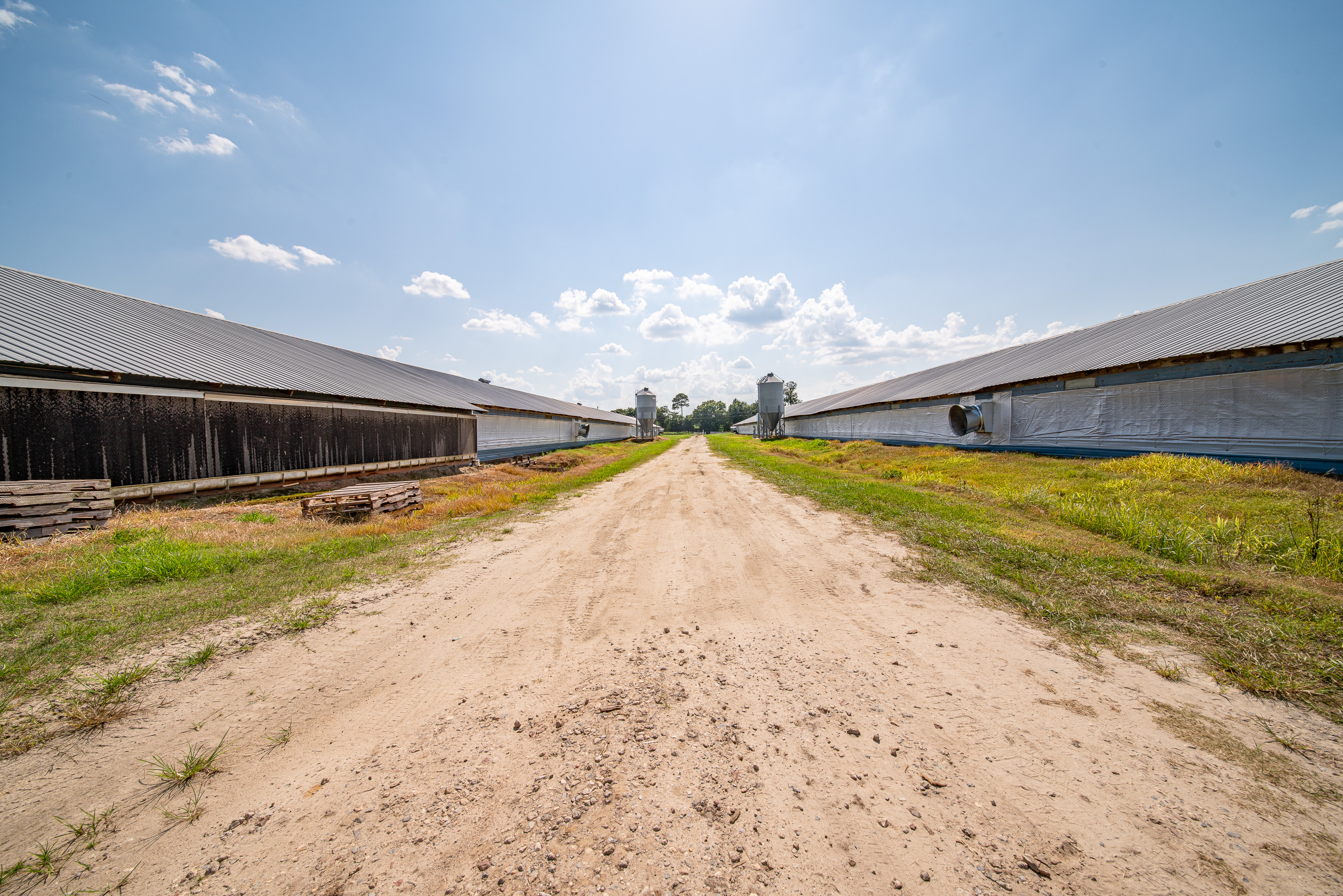 Georgia Poultry Breeder Farm For Sale FOR SALE on 1291 Myron Hart Road ...